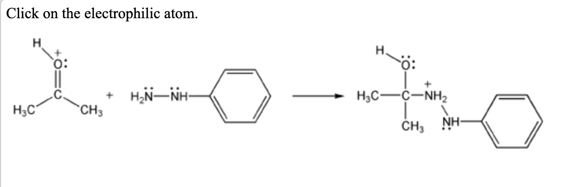 Solved Click on the electrophilic atom. HNNH. H3C-C-NH2 H3C | Chegg.com