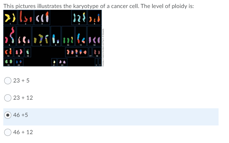 Solved This pictures illustrates the karyotype of a cancer | Chegg.com