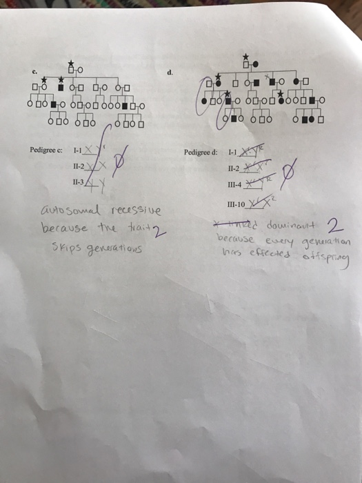 Solved 3 a. What is the most likely inheritance pattern | Chegg.com