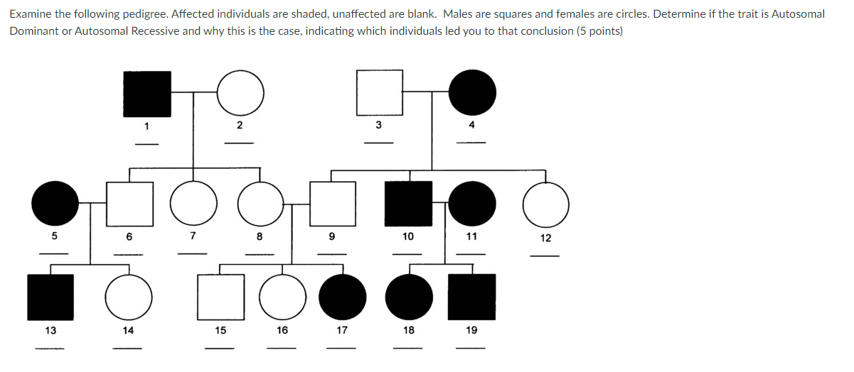 Examine the following pedigree. Affected individuals | Chegg.com