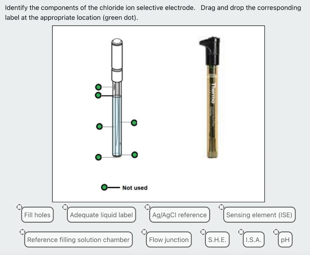 Solved Identify the components of the chloride ion selective | Chegg.com