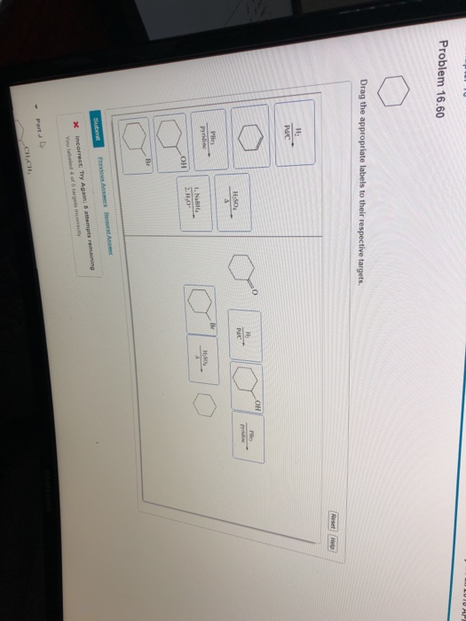 Solved N(CH3 2 Drag the appropriate labels to their | Chegg.com