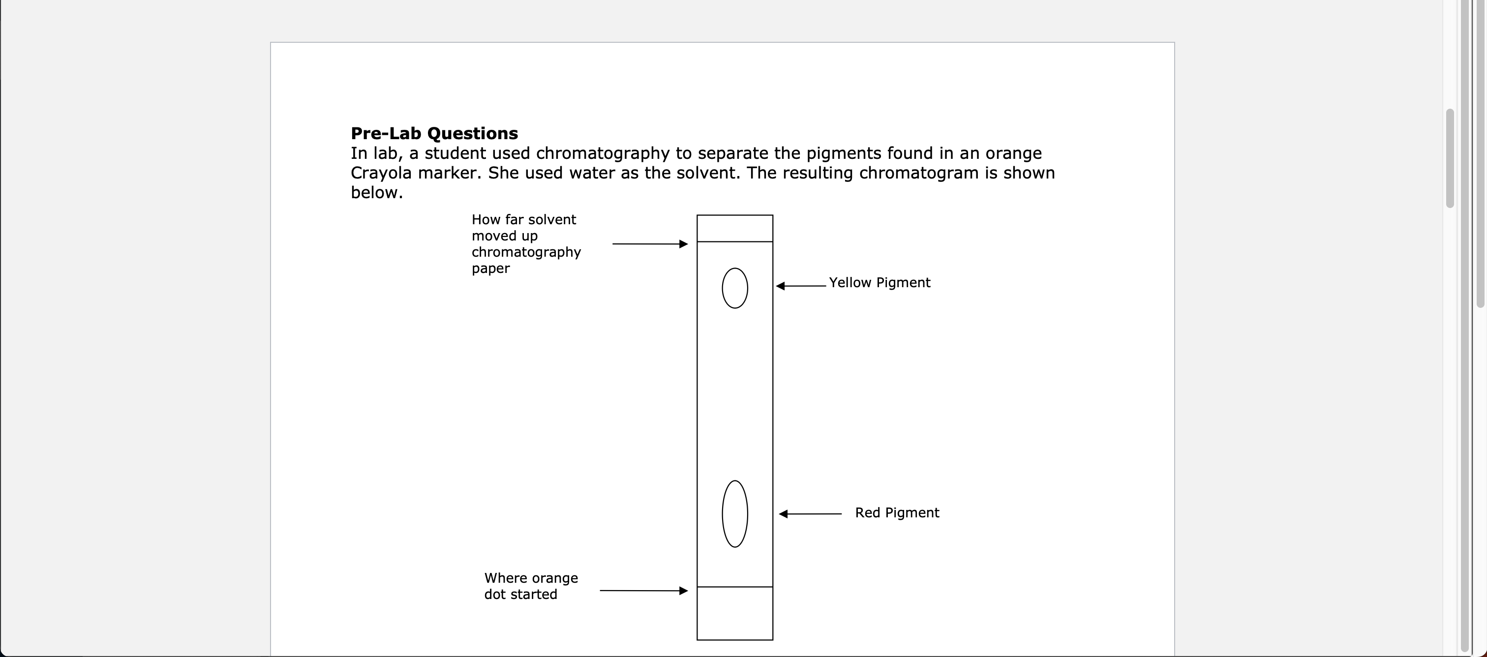 Solved A.Calculate the Rf value for the red pigment. | Chegg.com