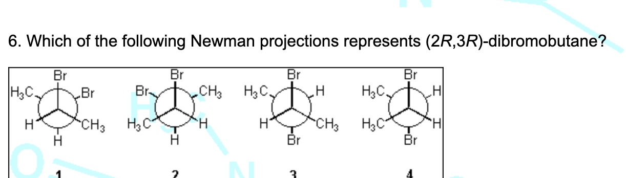 Solved 6. Which of the following Newman projections | Chegg.com