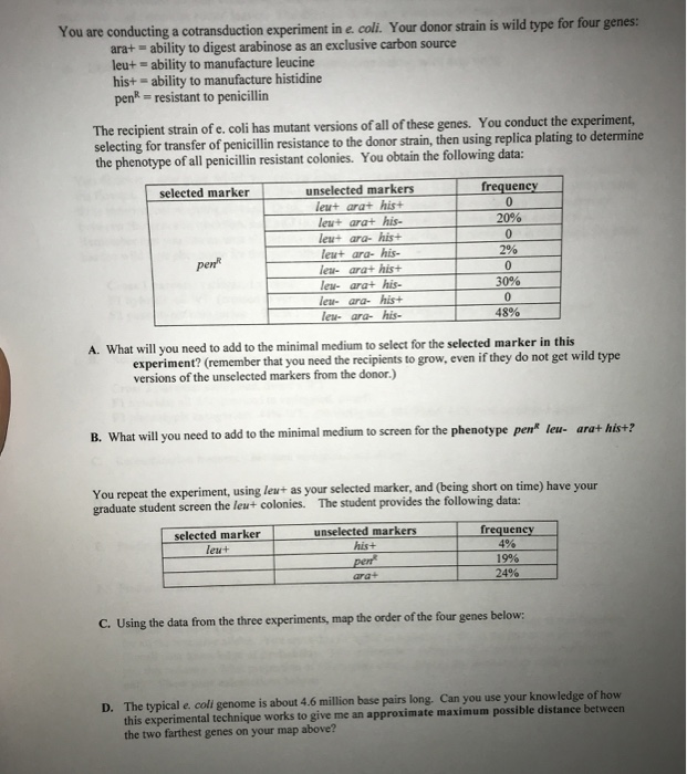 Solved You are conducti ng a cotransduction experiment in e | Chegg.com