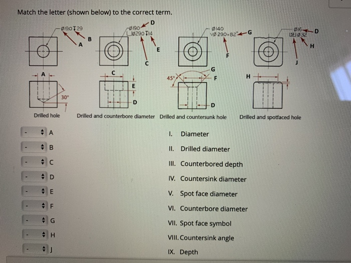 Solved Match the letter (shown below) to the correct term. | Chegg.com