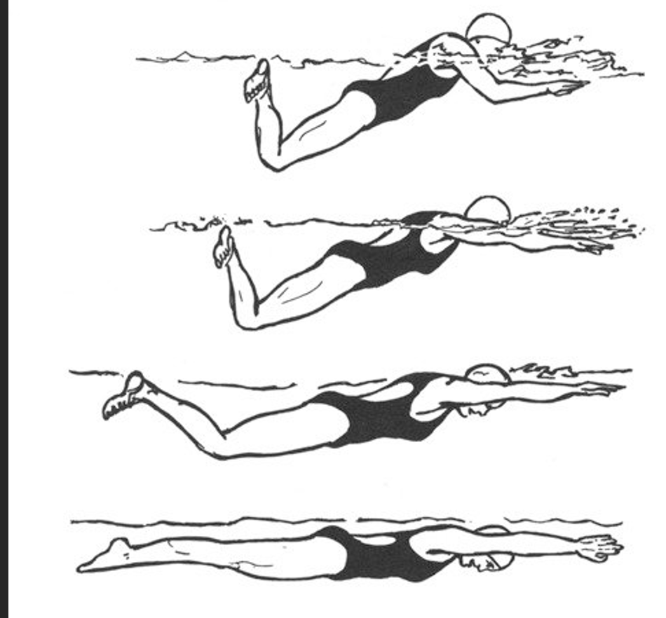 Solved Please help me to describes which muscles are being | Chegg.com