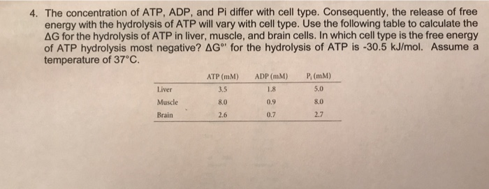 Solved 4. The concentration of ATP, ADP, and Pi differ with | Chegg.com