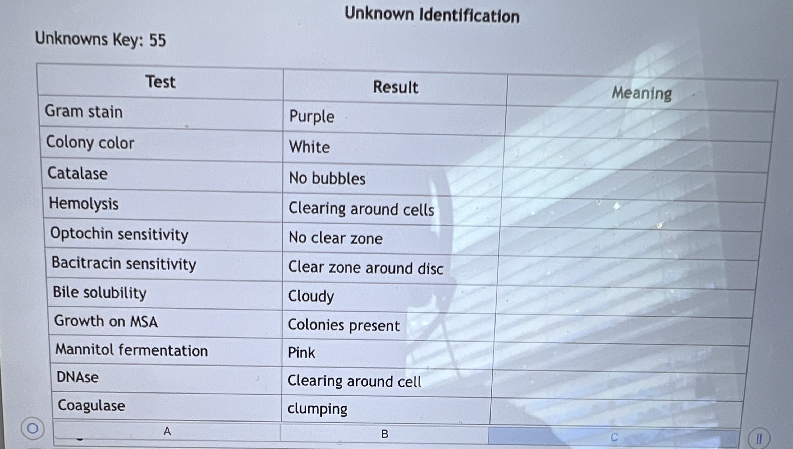 Solved Unknown Identification Unknowns Key: 55 | Chegg.com