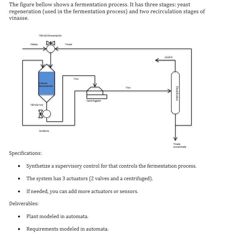 Fermentation Diagram Of Stages
