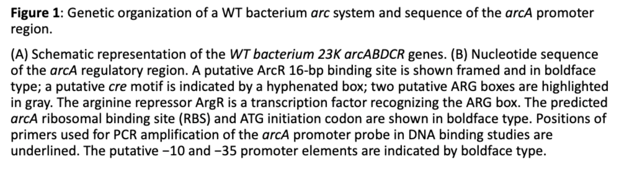 Solved A arg arca arcB arcD arcc arcR B ARG-box ARG-box | Chegg.com