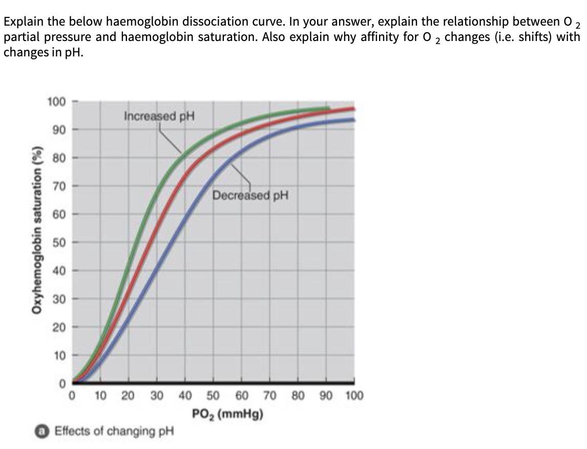 Solved Explain the below haemoglobin dissociation curve. In | Chegg.com