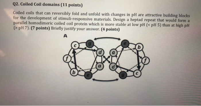 Q2. Coiled Coil domains (11 points) Coiled coils that | Chegg.com
