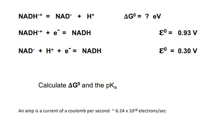 Solved NADH+ = NAD + H+ AG = ? eV NADH+ + e* = NADH E = 0.93 | Chegg.com