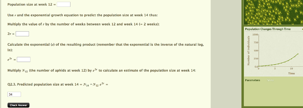 Solved RUN the simulation through the first 12 weeks and | Chegg.com