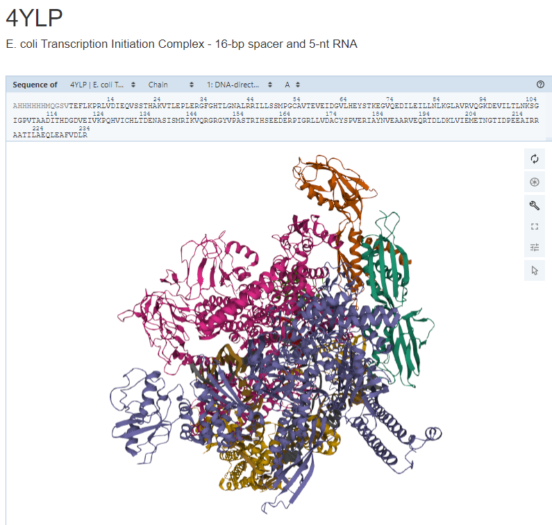 Solved In 4YLP, the RNA chain is proximal to a ______ ion, | Chegg.com