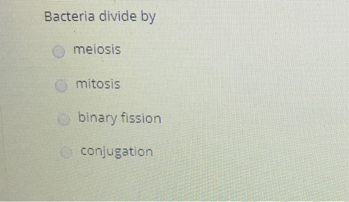 Solved Bacteria divide by meiosiS mitosis binary fission | Chegg.com