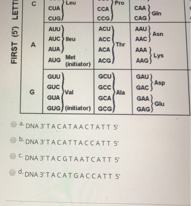 Solved Using the DNA sequence below, which new DNA sequence | Chegg.com