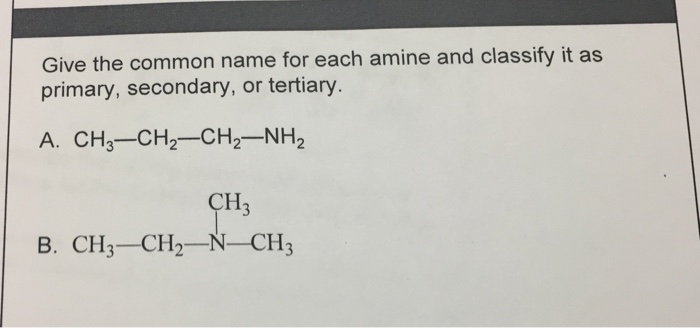 Solved Give the common name for each amine and classify it | Chegg.com