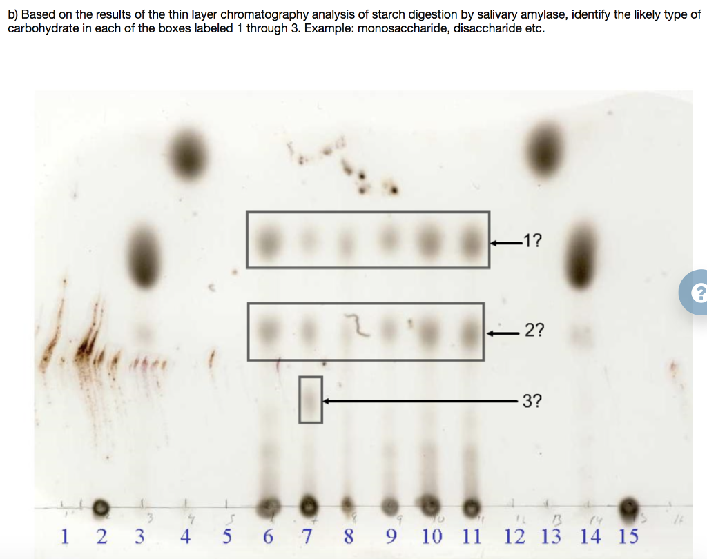Solved b) Based on the results of the thin layer | Chegg.com
