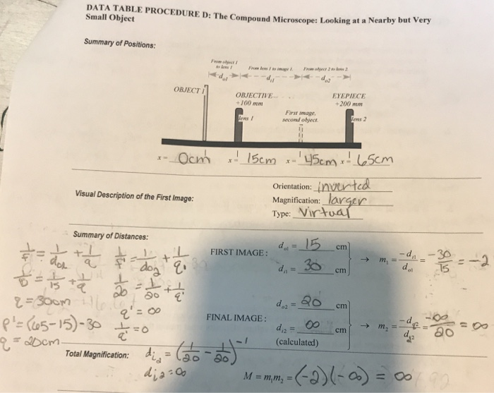Solved DATA TABLE PROCEDURE D: The Compound Microscope: | Chegg.com