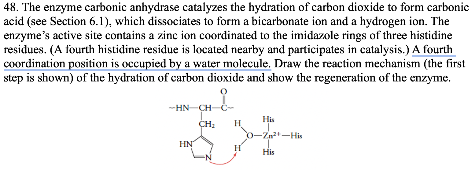 Solved 48. The enzyme carbonic anhydrase catalyzes the | Chegg.com