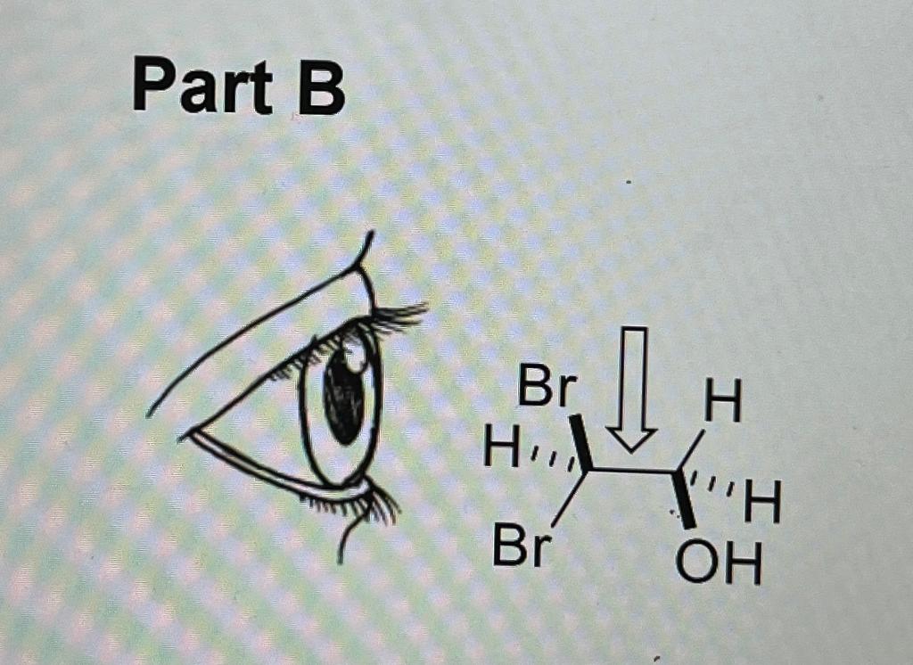 Solved Part B: Newman projections. 1. Construct a model of | Chegg.com