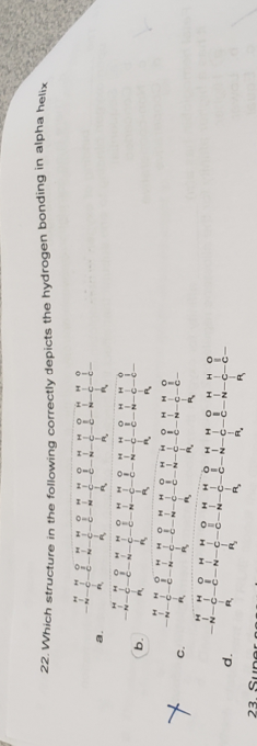 Solved 22. Which structure in the following correctly | Chegg.com