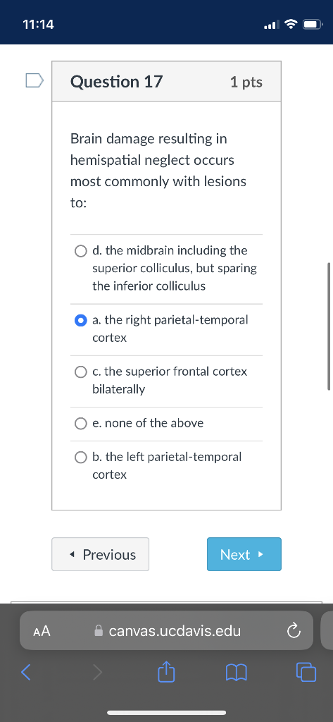 Brain damage resulting in hemispatial neglect occurs | Chegg.com
