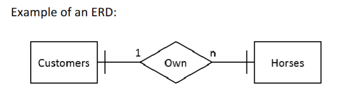 Solved : Please draw an ER diagram with cardinality | Chegg.com