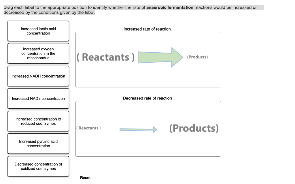 Solved Drag each label to the appropriate position to | Chegg.com