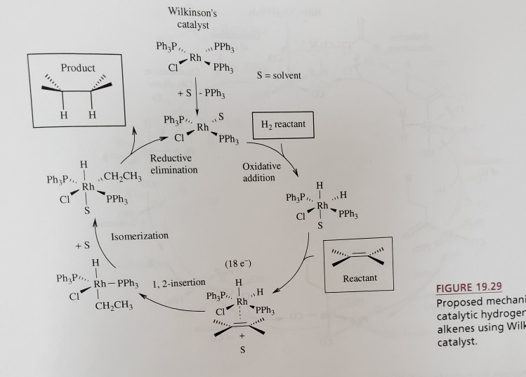 Solved 19.10. Answer the following questions regarding the | Chegg.com