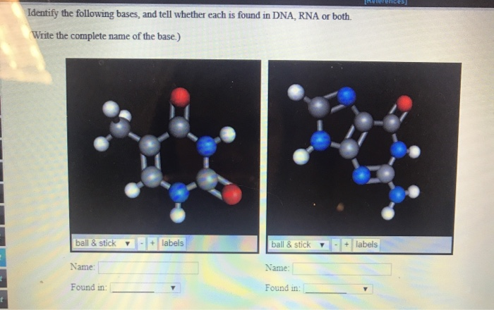 Solved Identify the following bases, and tell whether each | Chegg.com