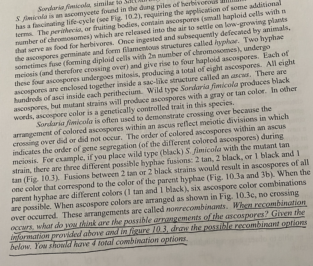 Solved Figure 10.3 Schematic representation of sexual | Chegg.com