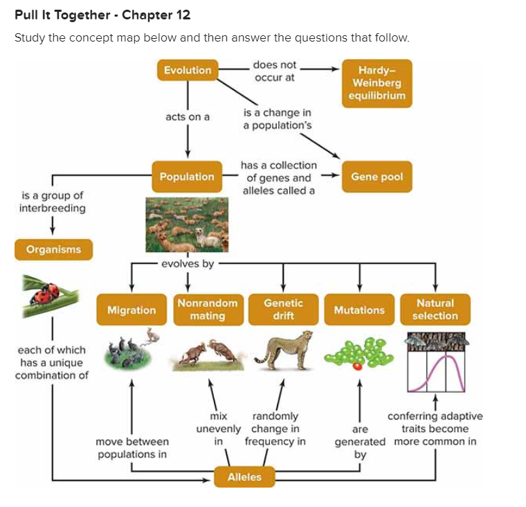 Solved Pull It Together - Chapter 12 Study the concept map | Chegg.com