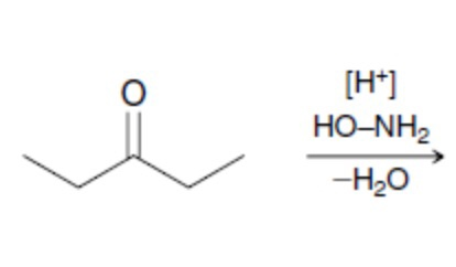 Solved HO-NH2 -H20 [H*1 H2N-NH2 -H20 N-H 2 H20 2 H2O | Chegg.com