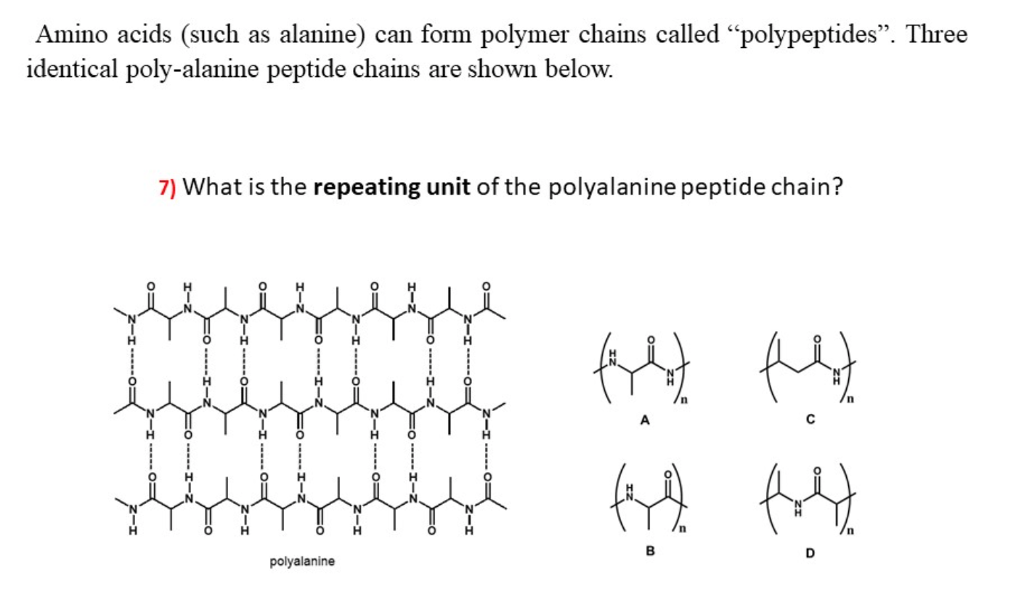 Solved Amino acids (such as alanine) can form polymer chains | Chegg.com