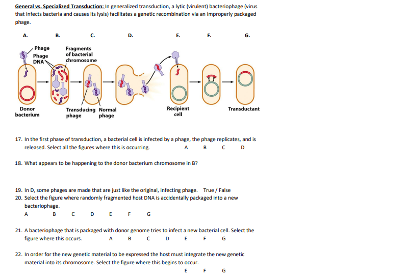 Solved General vs. ﻿Specialized Transduction: In generalized | Chegg.com