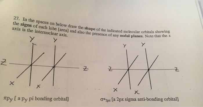 Solved In the spaces on below draw the shape of the | Chegg.com