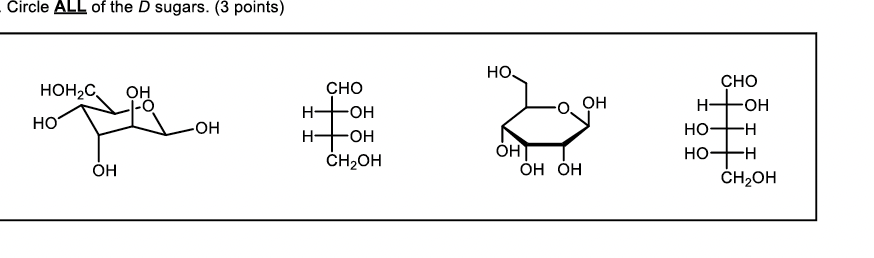 Solved Circle ALL of the \\( D \\) sugars. (3 points) | Chegg.com