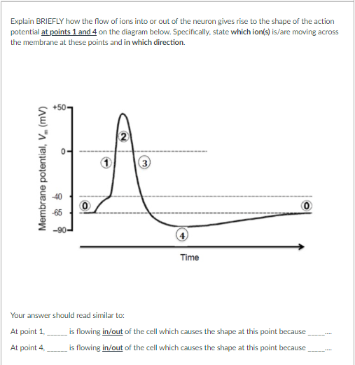 Solved Explain BRIEFLY how the flow of ions into or out of | Chegg.com