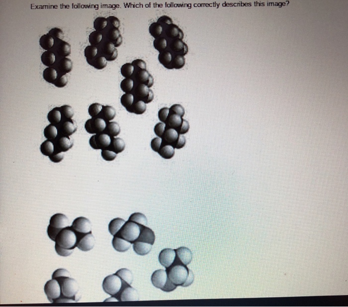 Solved Examine the following image. Which of the following | Chegg.com