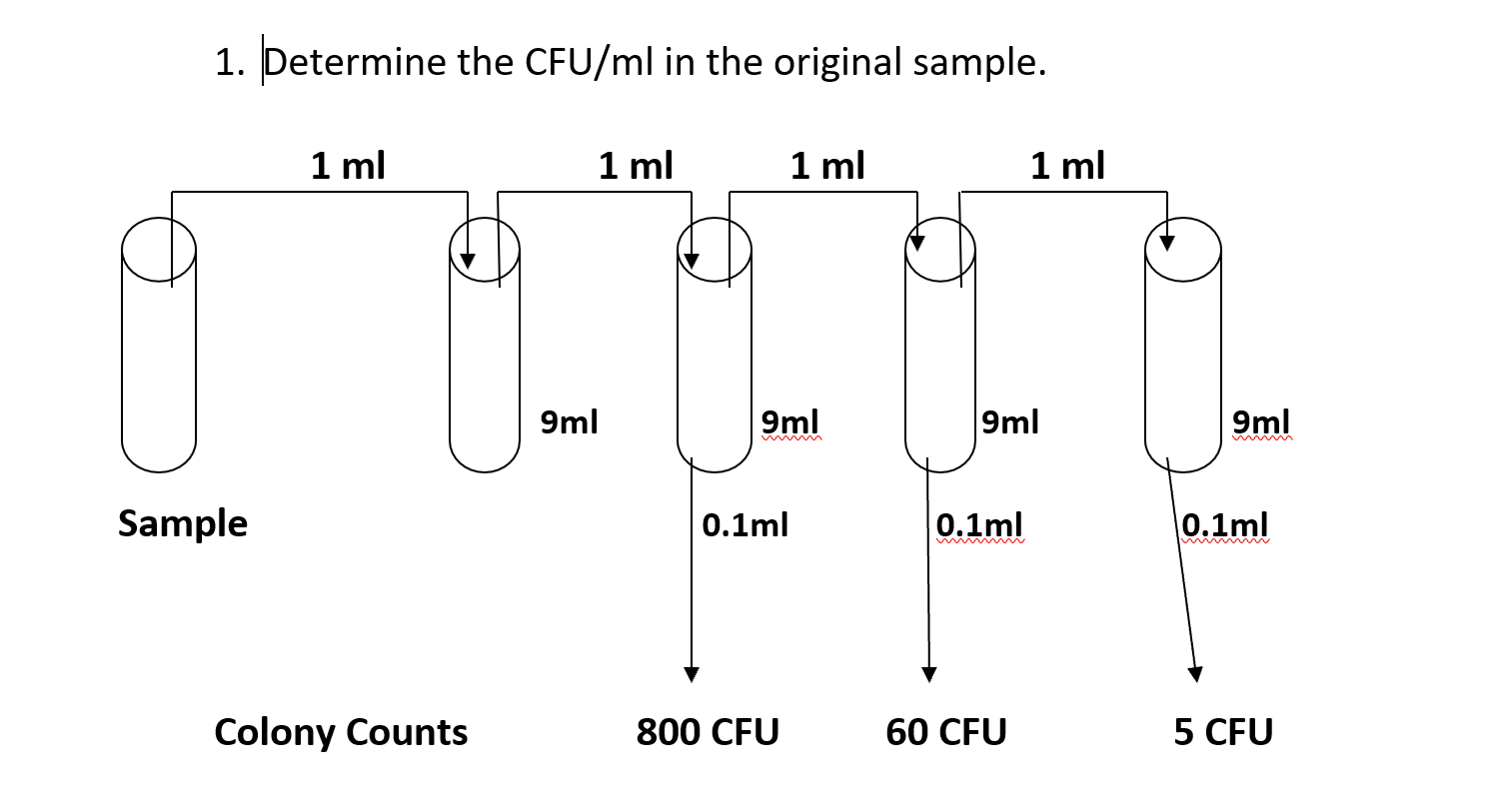Solved 1. Determine the CFU/ml in the original sample. 1 ml | Chegg.com