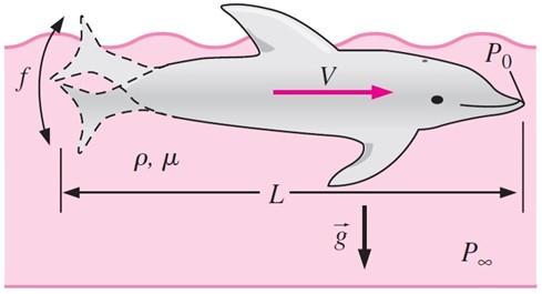 Solved Using the method of repeating variable and Pi | Chegg.com