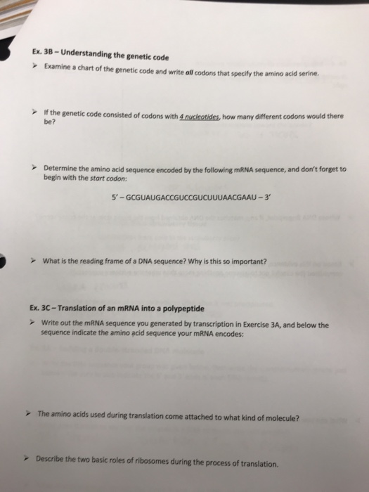 Solved Ex.38-Understanding the genetic code Examine a chart | Chegg.com
