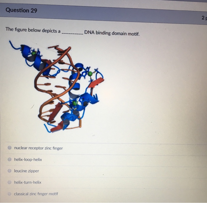 Solved The figure below depicts a _________ DNA binding | Chegg.com