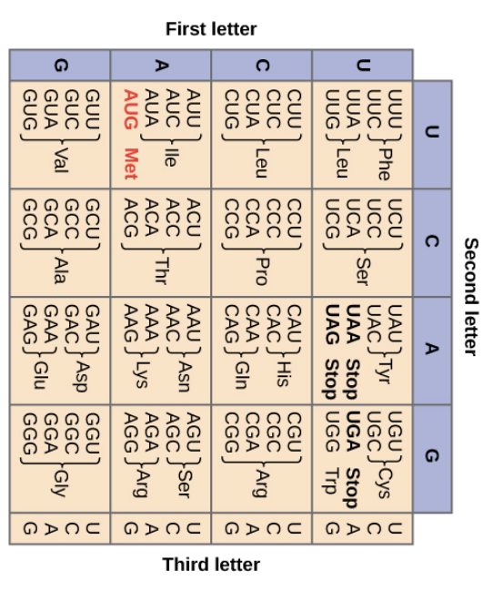Solved Use the following table to write the codon for the | Chegg.com