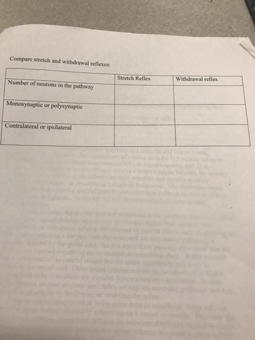 Solved Compare stretch and withdrawal reflexes: Stretch | Chegg.com