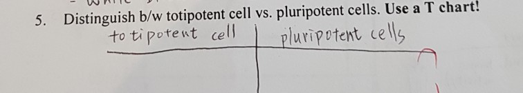 Solved 5. Distinguish b/w totipotent cell vs. pluripotent | Chegg.com