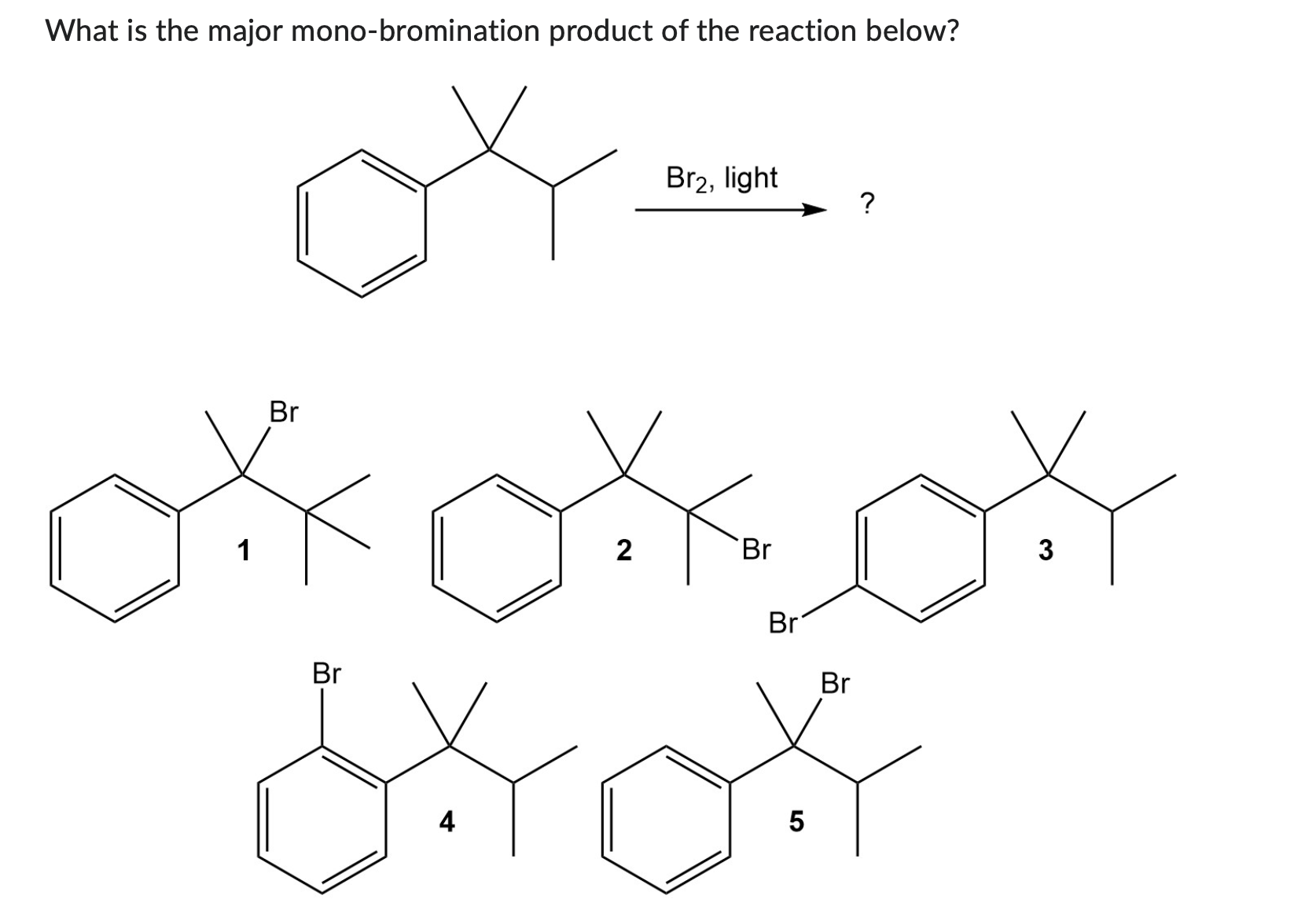 What Is The Major Mono Bromination Product Of The